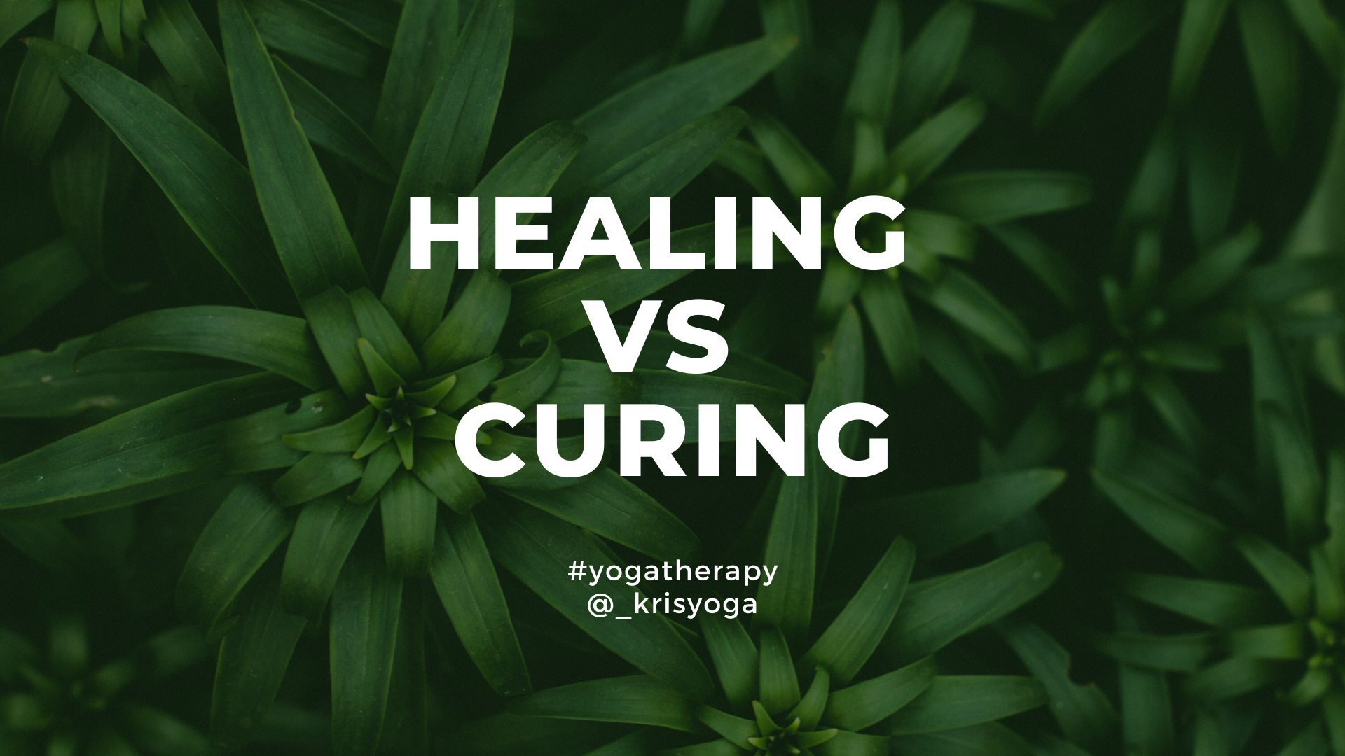 【瑜伽療癒】Healing 和 Curing ; 是「瑜伽治療」還是「瑜伽療癒」？ – Kristy Tsang